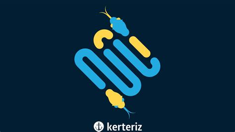 Temelden İleriye Türkçe Python Dersleri Ders