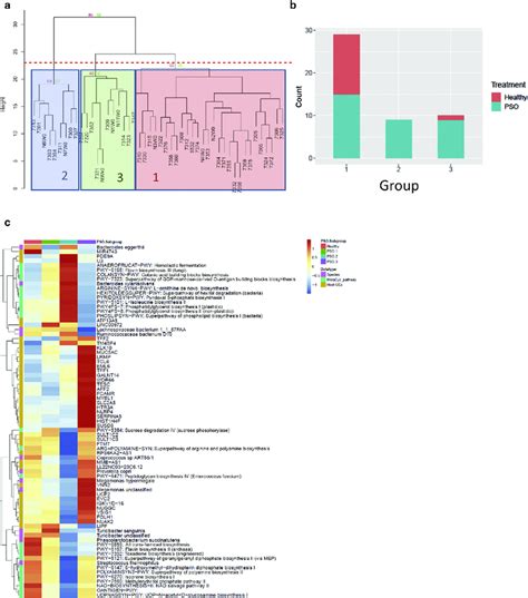 Pso Subgroups Identified By A Differential Abundance Of Microbial Gene Download Scientific
