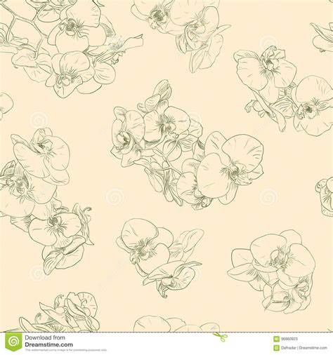 Flowers Seamless Pattern Background Line Illustration Orchids Floral