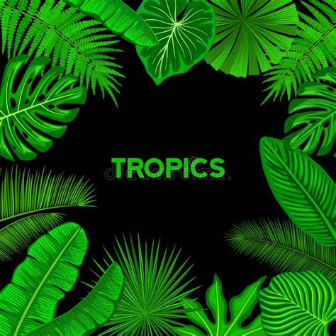 Palnt Tropical Stock Illustrations 89 Palnt Tropical Stock Illustrations Vectors And Clipart