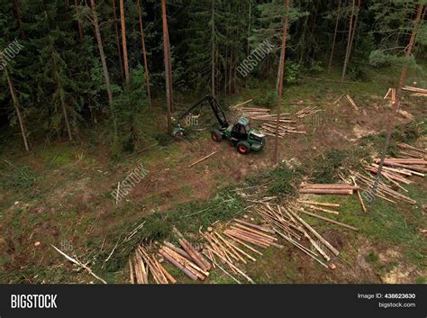 Forest Harvester Image And Photo Free Trial Bigstock