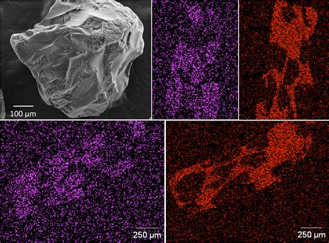Microscopy Innovations Scanning Electron Microscopy Sem