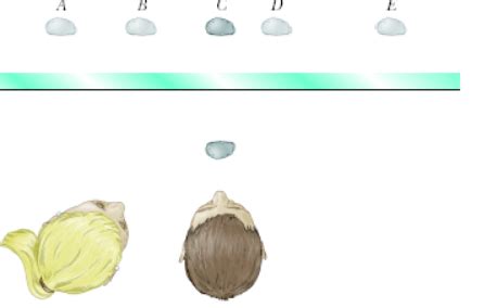 Chapter Flashcards Quizlet