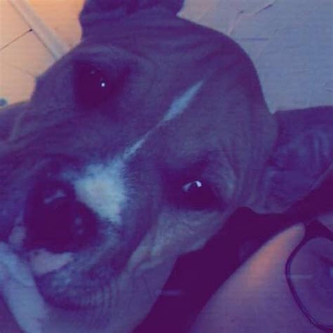 Babeeb Lyrics Songs And Albums Genius