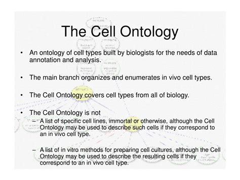 PPT The Cell Ontology PowerPoint Presentation Free Download ID 3398584