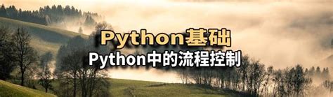 Python基础之python中的流程控制 哔哩哔哩