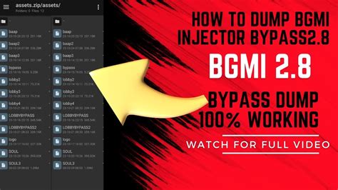 how to dump bypass from injector youtube