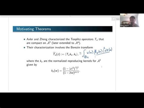 free video weighted theory of toeplitz operators on the bergman space
