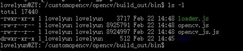 一篇带给你windows 10自定义构建opencvjs C Opencv Resize