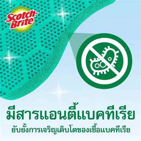 สก๊อตช์ไบรต์ 3m แผ่นใยขัดพร้อมฟองน้ำ สครับดอท รุ่นทั่วไป สีเขียว