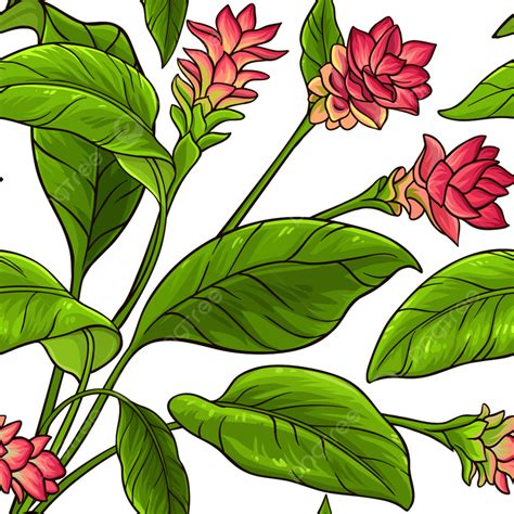 Turmeric Plant Vector Pattern On White Background India Seamless Eco