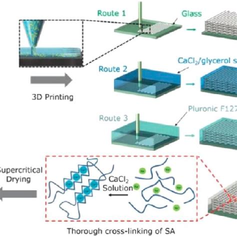 Schematic Illustration Of The Fabrication Process For 3d Printed Hybrid Download Scientific