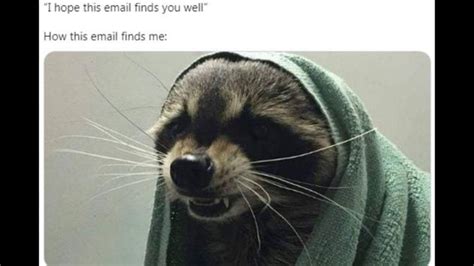 ‘i Hope This Email Finds You Well Memes Are Hilariously Relatable