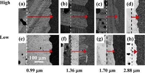 Growth Of 100 Crystals With A High Ad And A Low Dislocation