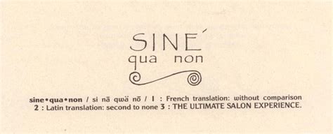Sine Qua Non Salon Celebrates 22 Years In The Hair Industry
