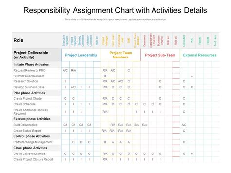 Responsibility Assignment Chart With Activities Details Ppt Powerpoint Pres
