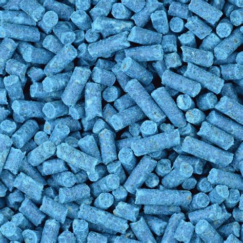 Expert Guide On How To Get Rid Of Slugs Yourself Pestbuddy