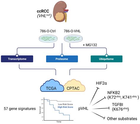 Cells Free Full Text Multi Omics Profiling To Assess Signaling