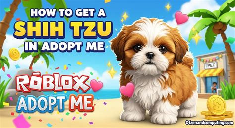 How To Get Shih Tzu Fast In Adopt Me March 2026 Guide