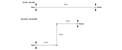 Schematic Representation Of The 20 M Linear Sprint Tests Without L Download Scientific