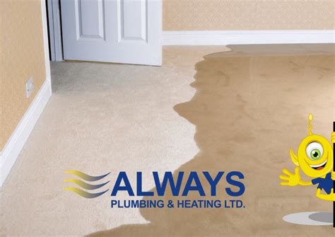 How To Prevent Basement Flooding