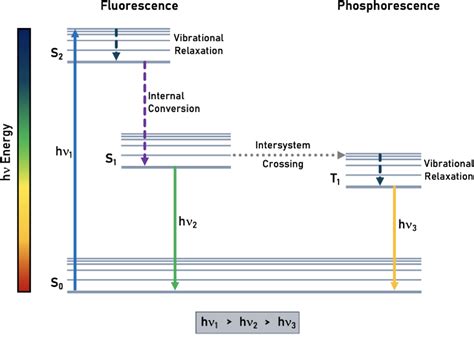 Application Of Fluorescence Spectroscopy In Food Analysis At Christine