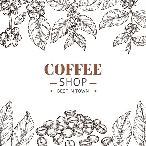 원두 벡터 Freepik에서 무료 고품질 벡터를 다운로드하세요 Freepik