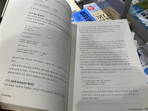 개발새발 일기 극히 주관적인 자바스크립트 책 겉핥기