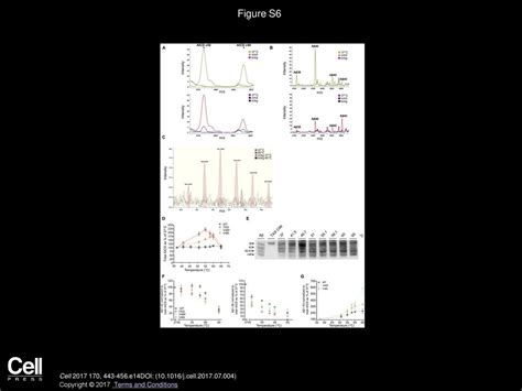 Volume 170 Issue 3 Pages E14 July 2017 Ppt Download