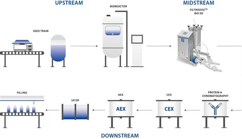 Midstream Cell Removal Scientist Live