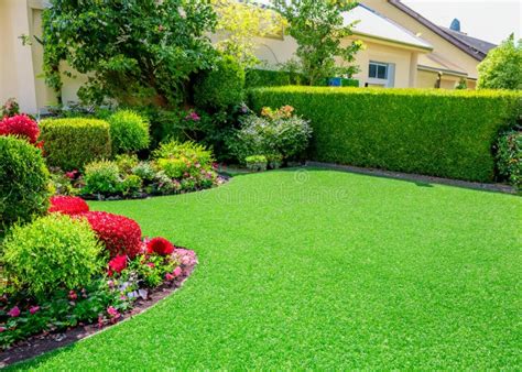 Nice And Clear Garden With Grass Ai Stock Illustration Illustration Of Lawn Garden 281789524