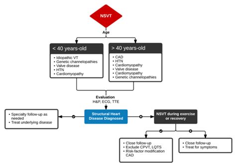 Nonsustained Ventricular Tachycardia Wikem