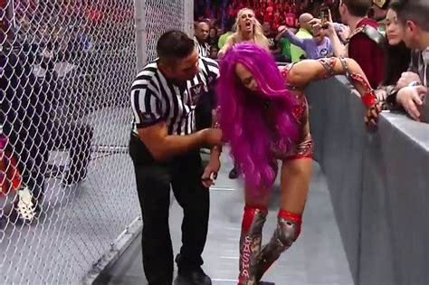 Sasha Banks Charlotte Flair Put On Epic Hell In A Cell Show