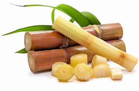 شفاف سازی در نیشکر بورس 24