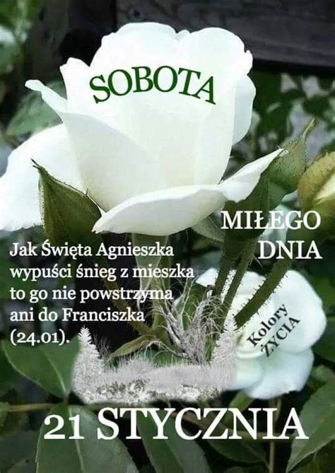 Pin By Bozena On Zapisane Przeze Mnie In 2023 Weekend Humor Printest