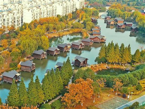 永联初冬美景已登场… 永联要闻 新闻中心 中国永联村官方网站