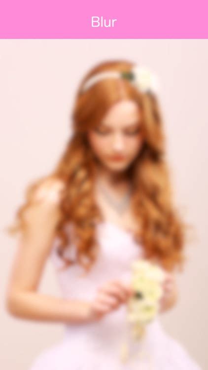 Mosaic Blur Photo Editor By HandyCloset Inc