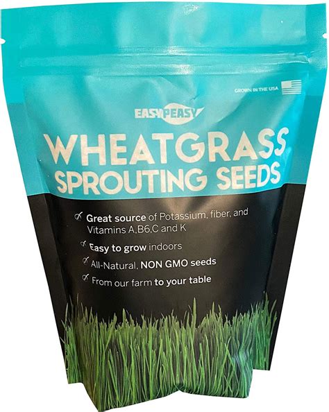 Wheatgrass Sprouting Seeds Plant Care Products Easy Peasy Plants