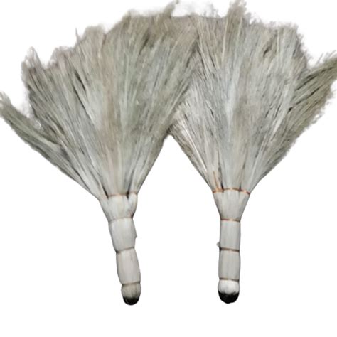 Plastic Floor Cleaning Grass Broom At Rs 22piece In Mumbai Id