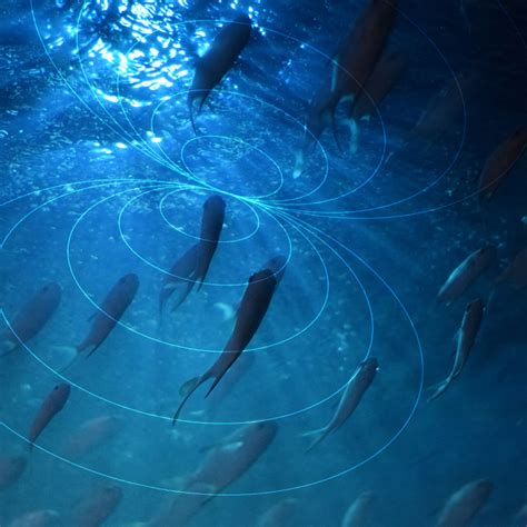 Active Control Of Stiffness Distribution In Soft Robots Spp 2100 Soft Material Robotics