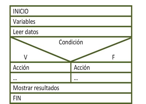 Como Hacer Un Diagrama N S Algoritmos En Java Hot Sex Picture