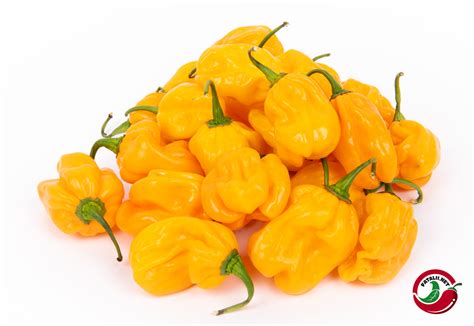 Numex Suave Orange Fatalii Seeds