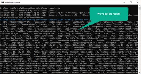 How To Connect To Salesforce Api From Python Using Odbc Salesforce