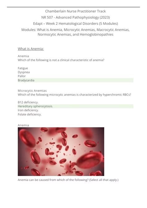 Nr 507 Edapt Week 2 Hematological Disorders Nr 507 Advanced