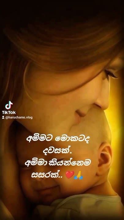 අමිමාට ආදරේ කටිටිය කෝ මගේ අමිමා ඇතුලු මෙි ලොකේ සිටින හැම අමිමා කෙනෙකුට ම උපහාරයක් වෙිවා 🙏