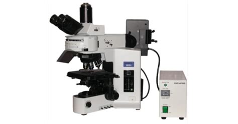 Buy Fluorescence Microscope Get Price For Lab Equipment
