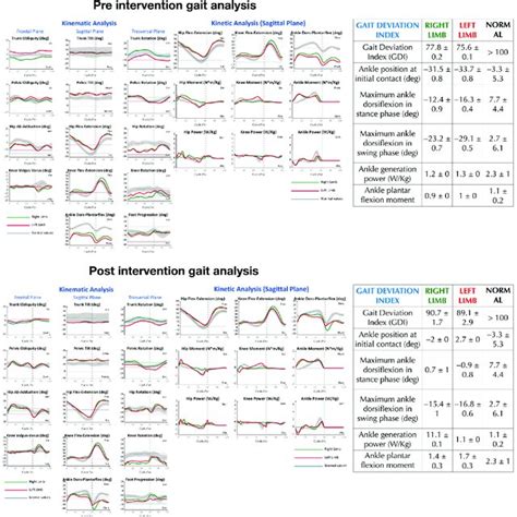 Example Of The Kinematic And Kinetic Analysis Graphs And The Values