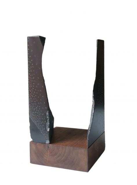 Cecilia De Torres Ltd Words Gustavo Bonevardi Fictions