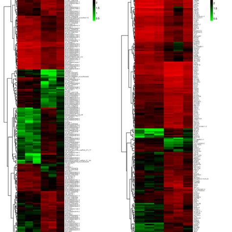Hierarchical Clustering Analysis Of De Lncrnas And De Mrnas