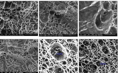 13 Fracture Surface Images Taken From The Center Of A Broken Sharp Download Scientific Diagram